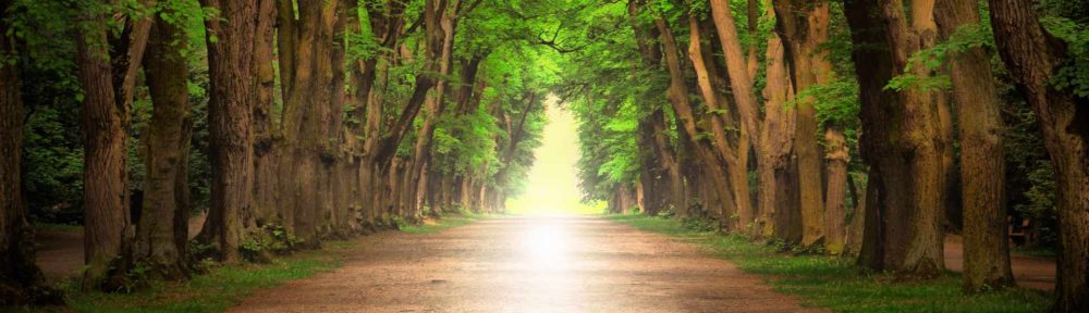 Blog | The Lighted Path | A profoundly personal, experiential and ...